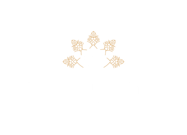 Cartes-cadeaux | Idolem – promo.cartes-cadeaux.Idolem